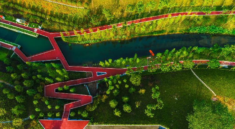 Chongqing's amazing landscape