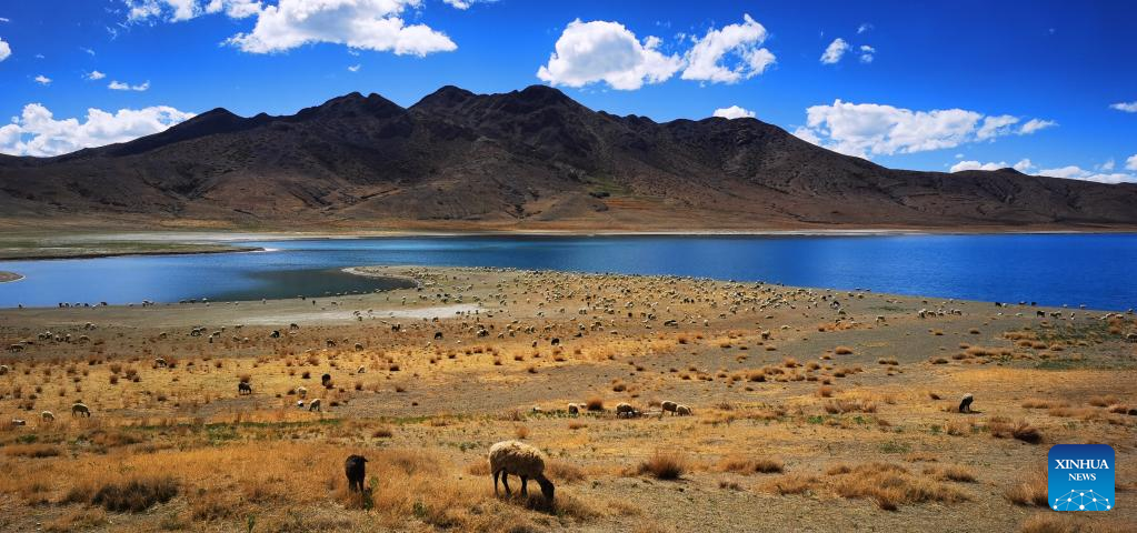 Tibet still among world's best regions in environment