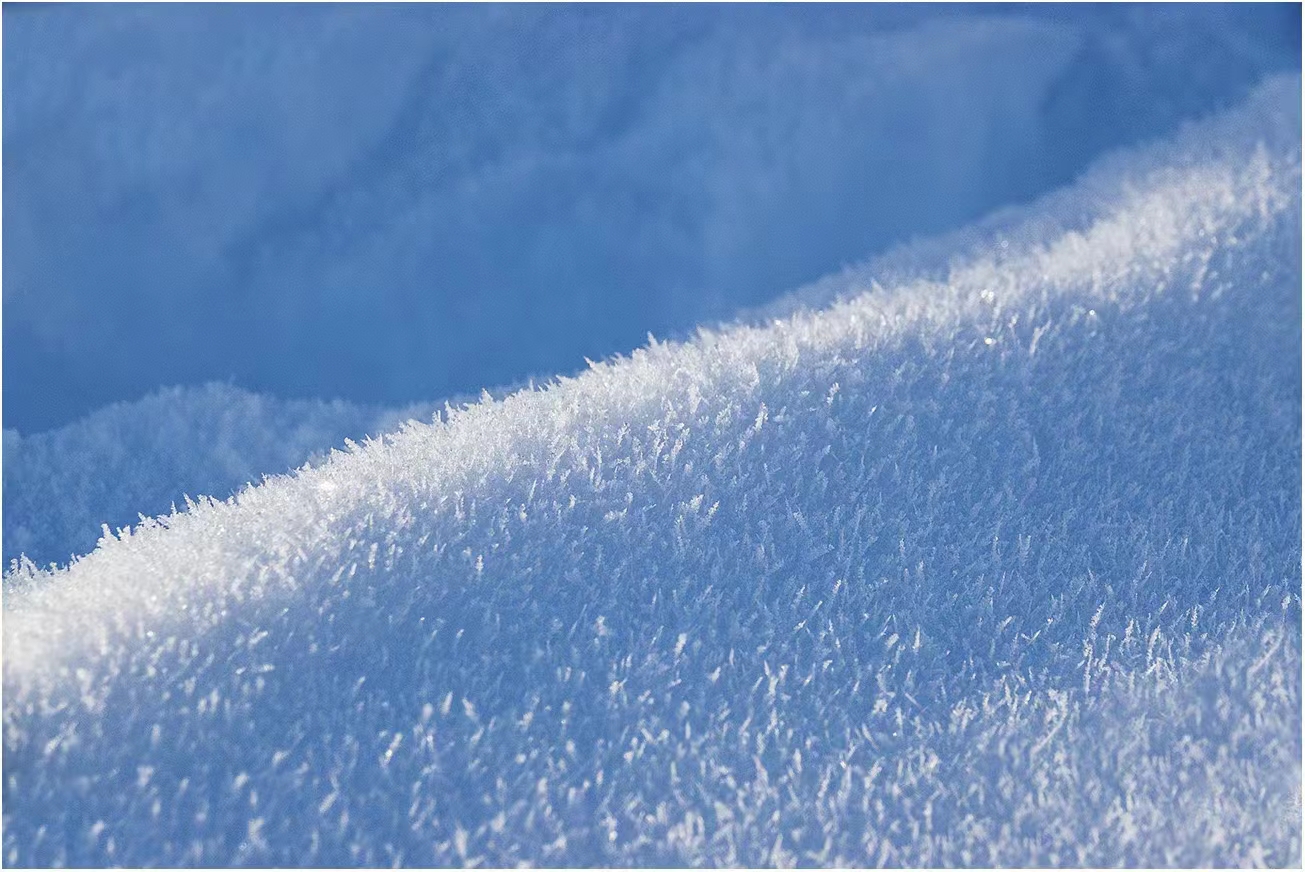 World of ice and snow