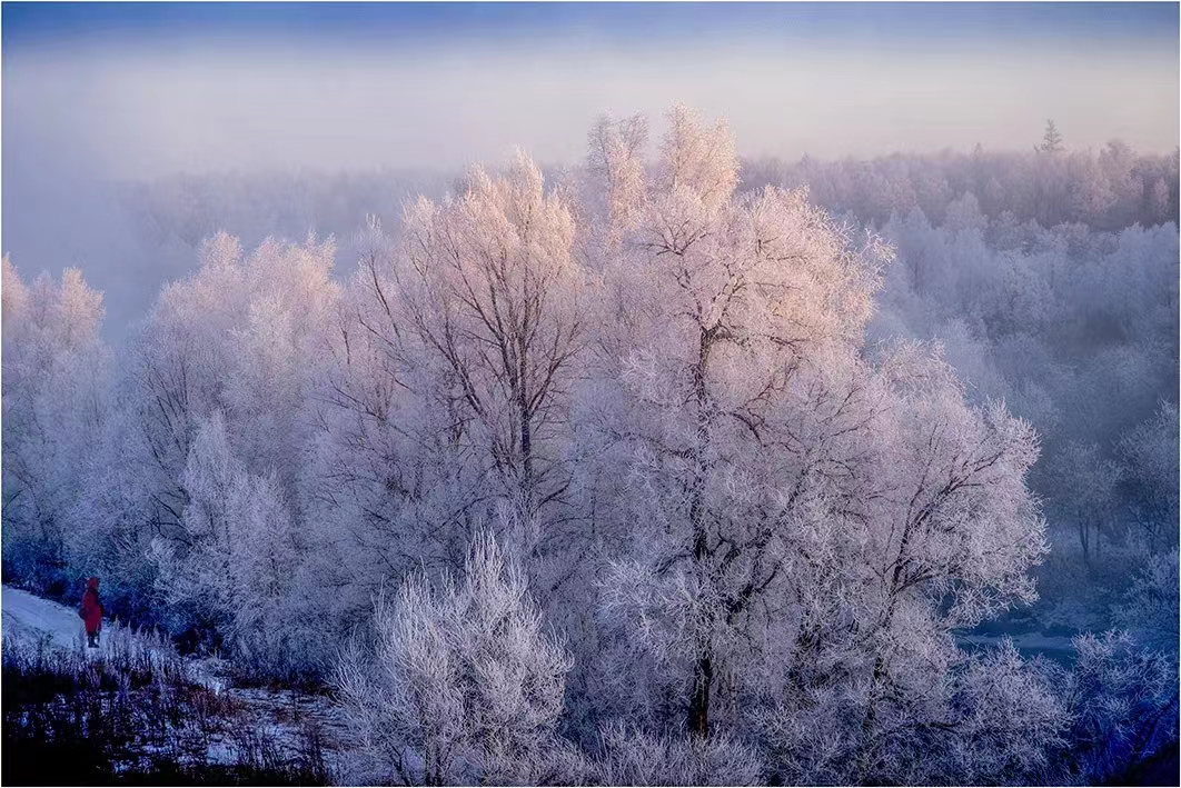 World of ice and snow