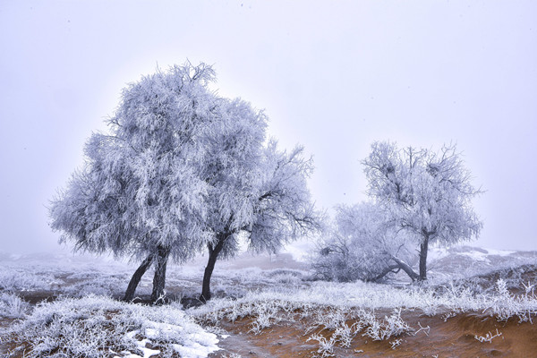 Desert area blessed with soft rime