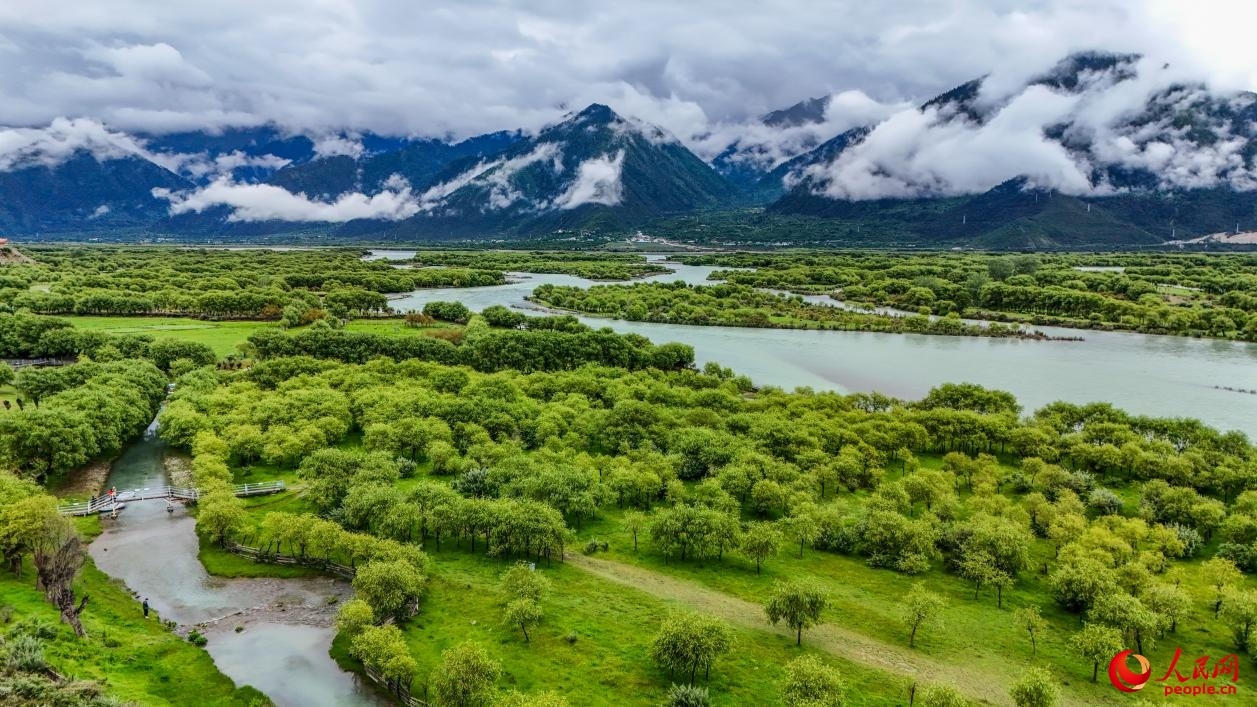 Picturesque views of Yani national wetland park in SW China's Xizang