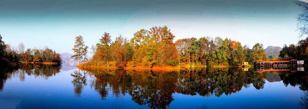 Red maple blooms in SW China's Guizhou