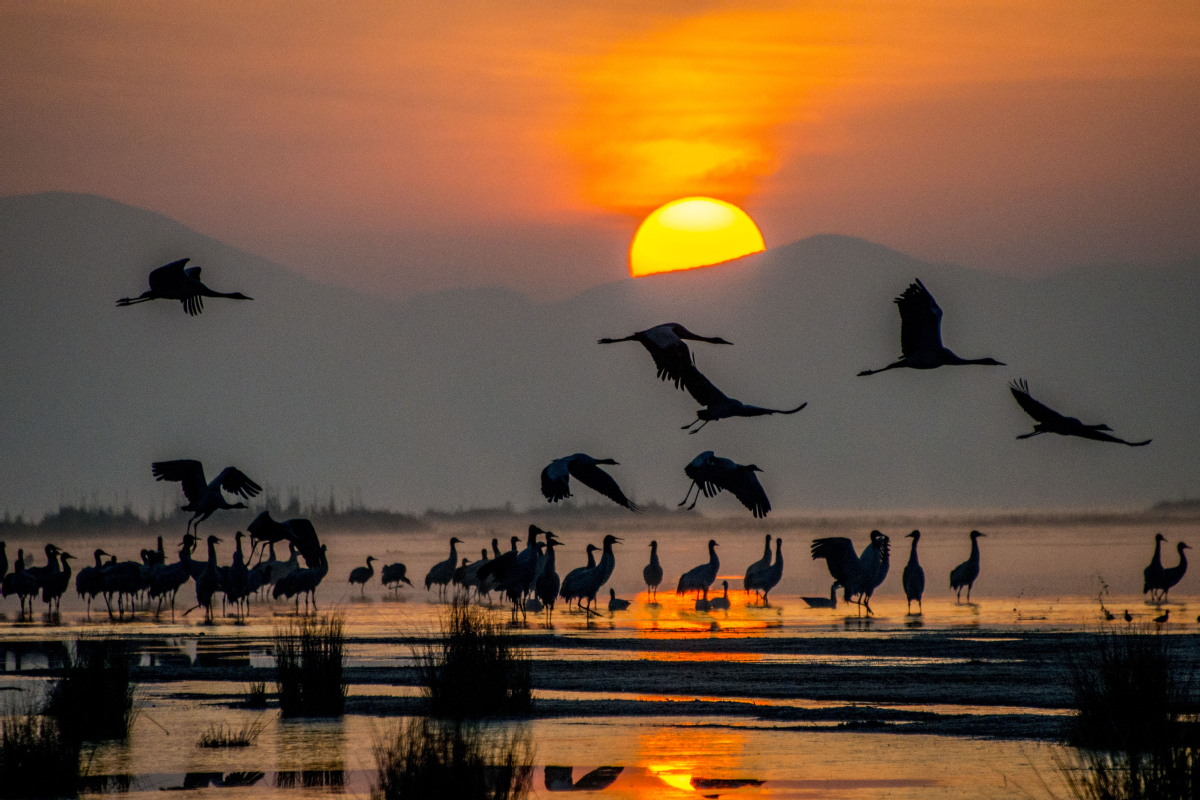 Caohai Lake: Crown jewel of Guizhou