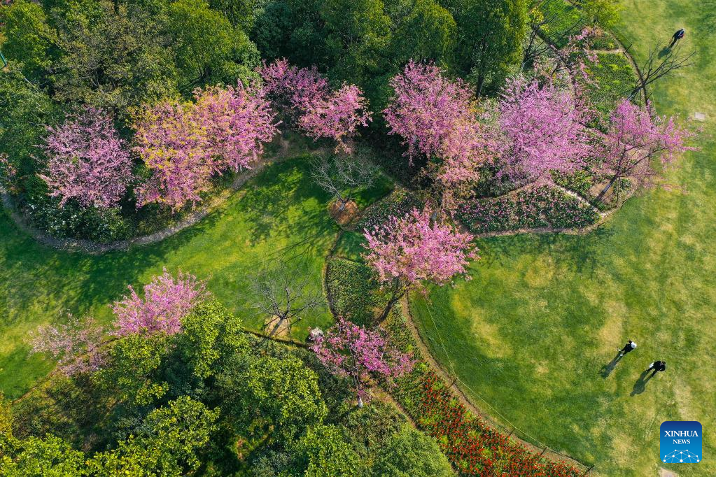 China in springtime