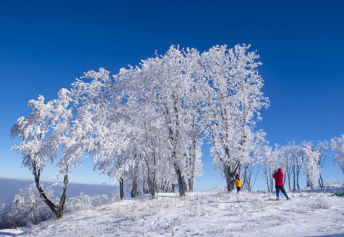 Delicate rime ice appears in Jilin