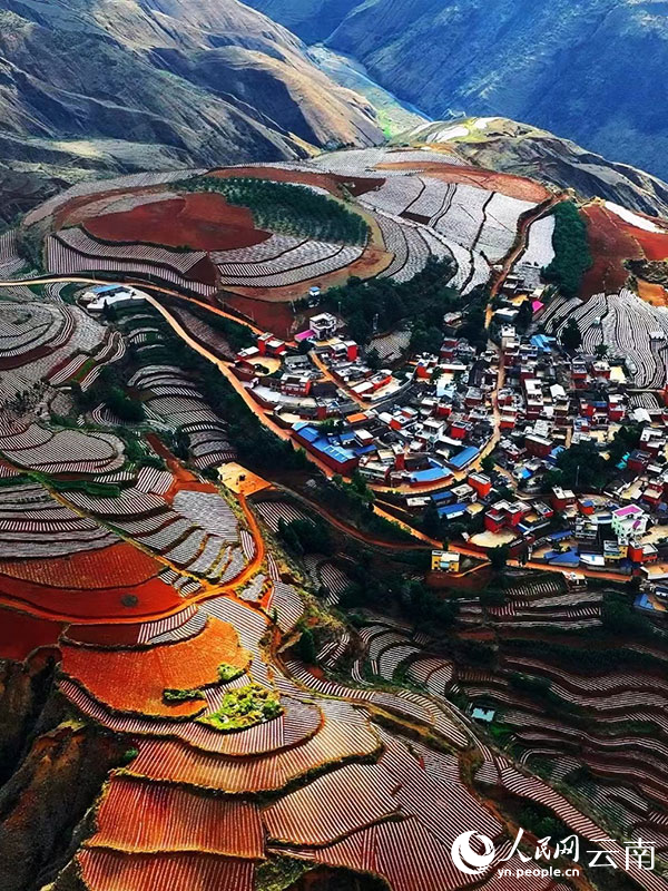 Magnificent scenery of colorful terraced fields