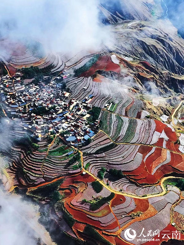 Magnificent scenery of colorful terraced fields