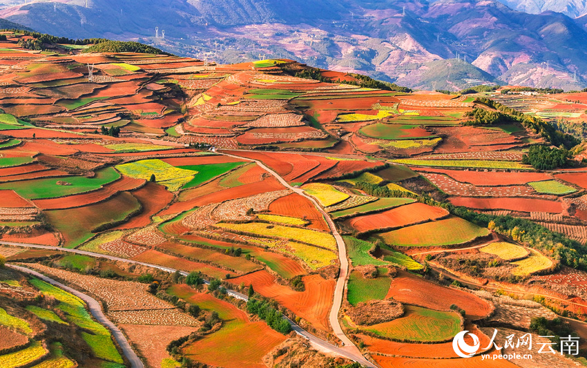 Colorful terraced fields in SW China's Yunnan resemble palette
