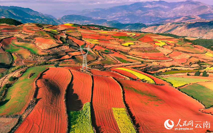 Colorful terraced fields in SW China's Yunnan resemble palette