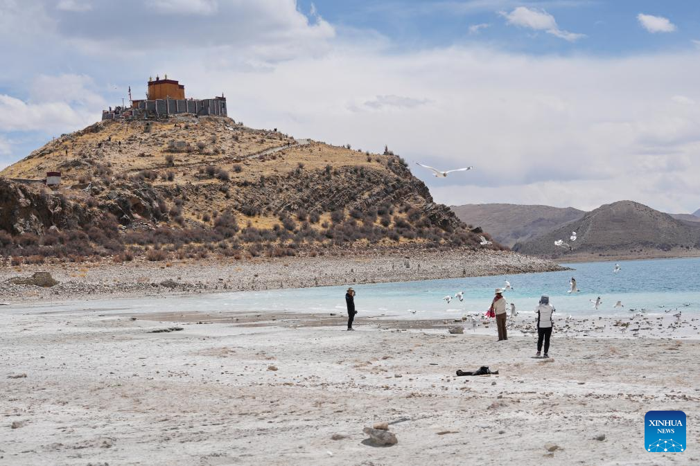 Scenery of Yamzbog Yumco Lake in SW China's Xizang