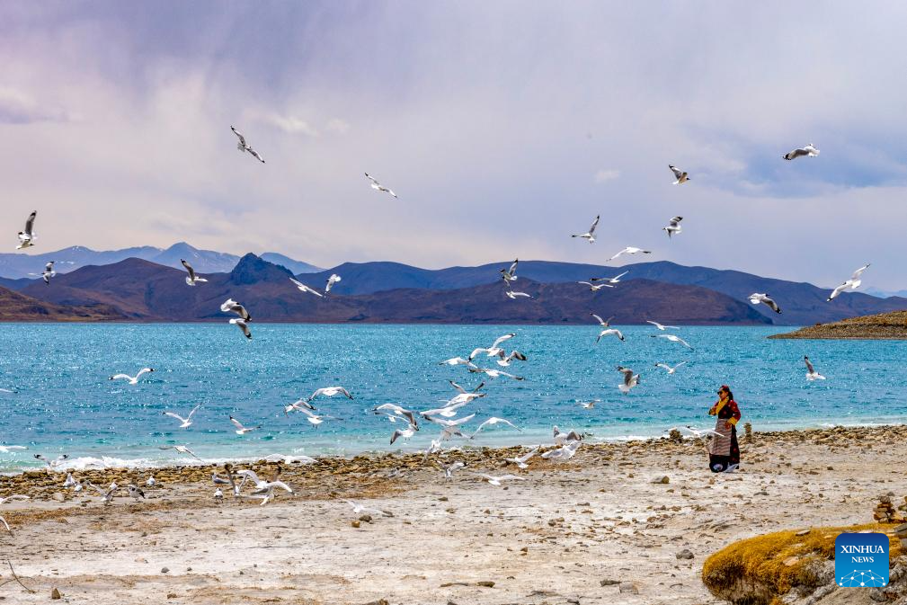 Scenery of Yamzbog Yumco Lake in SW China's Xizang